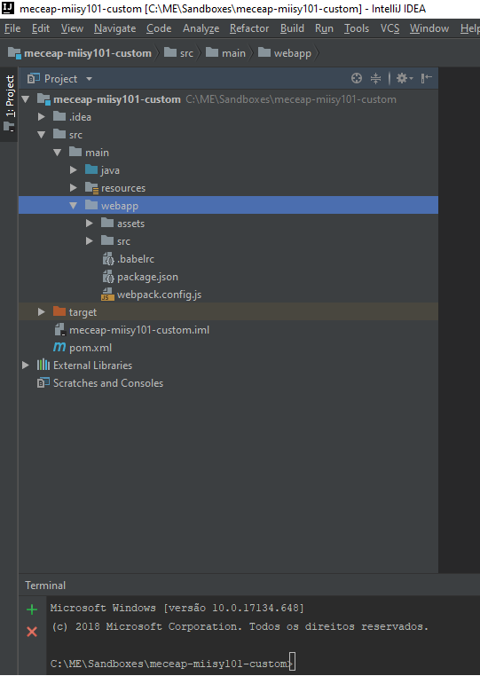 Dev Guide - MECEAP Docs